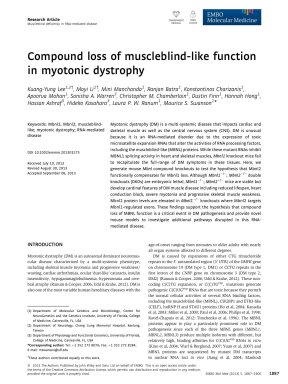 compound loss of muscleblind like function in myotonic dystrophy