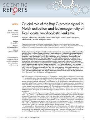 crucial role of the rap g protein signal in notch activation and ...