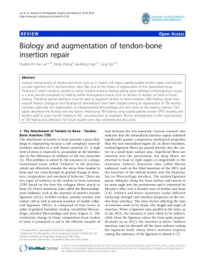 biology and augmentation of tendon bone insertion repair