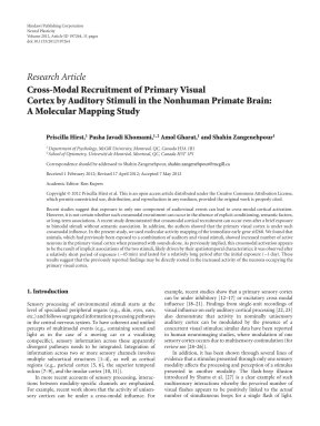 cross modal recruitment of primary visual cortex by auditory stimuli in the nonhuman primate brain a