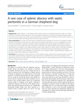 a rare case of splenic abscess with septic peritonitis in a german ...