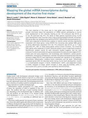 mapping the global mrna transcriptome during development of the murine ...