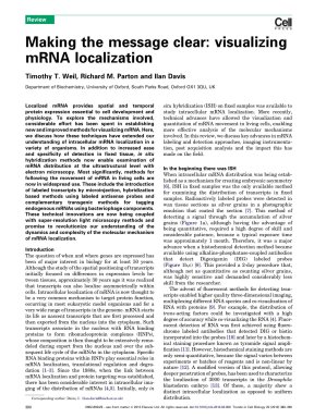 making the message clear visualizing mrna localization