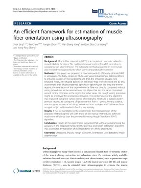 an efficient framework for estimation of muscle fiber orientation using ...