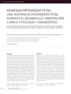 akinesia hipokinesia fetal una ventana al movimiento fetal durante el ...