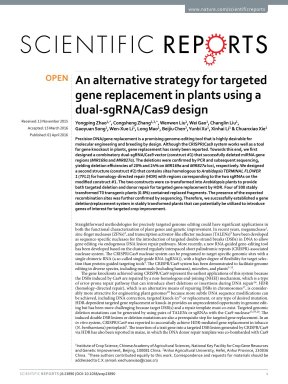 an alternative strategy for targeted gene replacement in plants using a ...