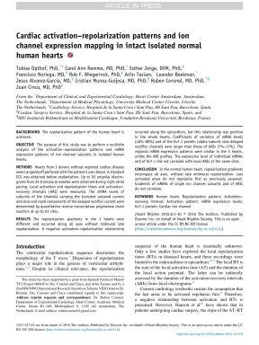 Cardiac activation–repolarization patterns and ion channel expression ...