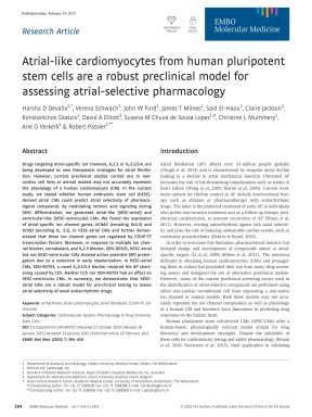 Atriallike cardiomyocytes from human pluripotent stem cells are a ...