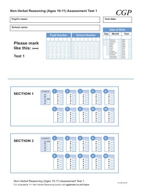 11plus nvr 10 11 n6qe2 assessment test ans