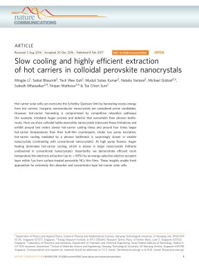 slow cooling and highly efficient extraction of hot carriers in colloidal perovskite nanocrystals