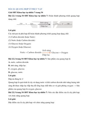 sbt khoa hoc tu nhien 7 bai 22 quang hop o thuc vat ket noi tri thuc