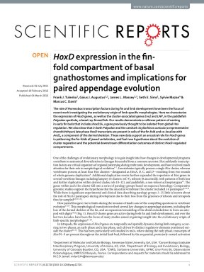 hoxd expression in the fin fold compartment of basal gnathostomes and ...