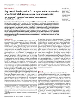 key role of the dopamine d 4 receptor in the modulation of ...