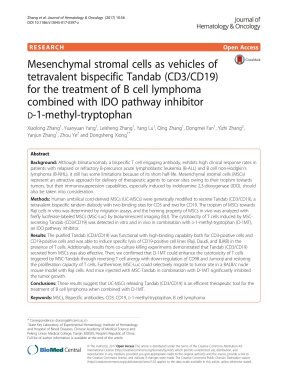 mesenchymal stromal cells as vehicles of tetravalent bispecific tandab ...