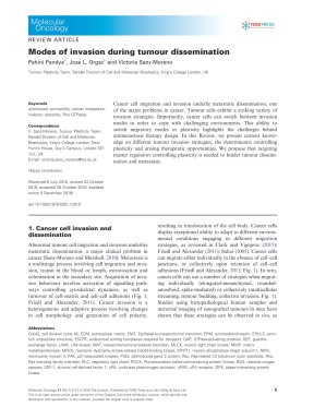 modes of invasion during tumour dissemination