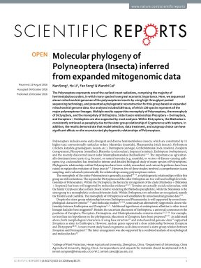 molecular phylogeny of polyneoptera insecta inferred from expanded ...