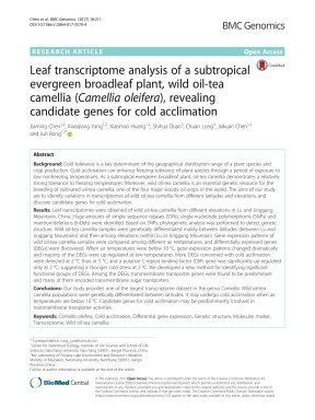 leaf transcriptome analysis of a subtropical evergreen broadleaf plant ...