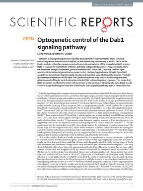 optogenetic control of the dab1 signaling pathway