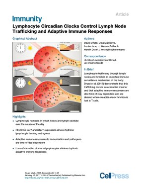lymphocyte circadian clocks control lymph node trafficking and adaptive immune responses