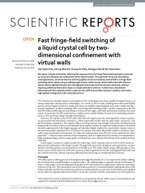 fast fringe field switching of a liquid crystal cell by two dimensional ...