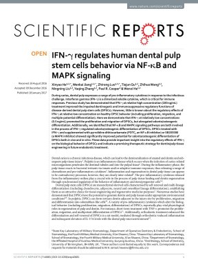 ifn regulates human dental pulp stem cells behavior via nf b and mapk ...