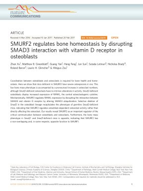 smurf2 regulates bone homeostasis by disrupting smad3 interaction with ...