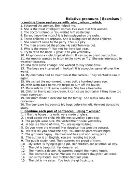 Relative Pronouns ( Exercises )