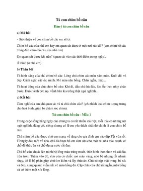 Top 50 bai ta con chim bo cau