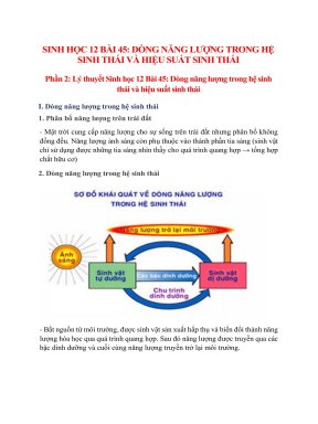 Ly thuyet sinh hoc 12 bai 45 moi 2022 26 cau trac nghiem dong nang luong trong he sinh thai va ...