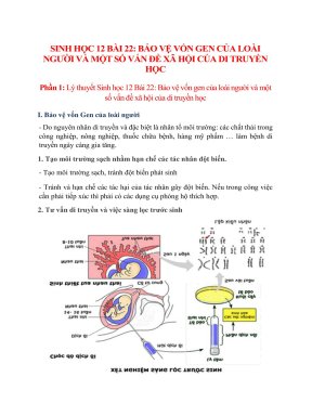 Ly thuyet sinh hoc 12 bai 22 moi 2022 28 cau trac nghiem bao ve von gen cua loai nguoi va mot so ...