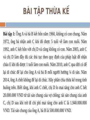 BAI TAP THUA KE LUAT DAN SU