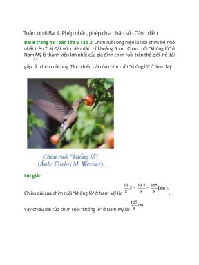 Chim ruoi ong hien la loai chim be nho nhat tren trai dat voi chieu dai ...