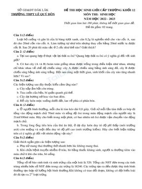 De hsg sinh 12 cap truong 2022 2023 co dap an 4553