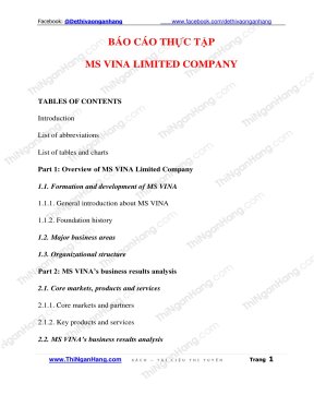 Báo cáo thực tập tiếng anh ms vina limited company