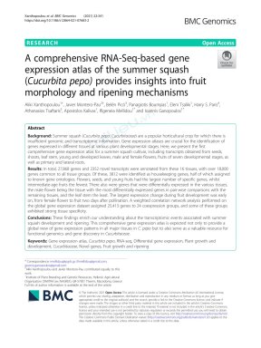 A comprehensive rna seq based gene expression atlas of the summer ...