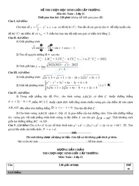Đề thi chọn học sinh giỏi cấp trường môn toán lớp 11 có đáp án