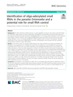 Identification of oligo adenylated small rnas in the parasite entamoeba ...