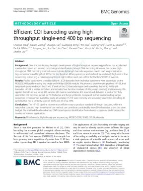 Efficient coi barcoding using high throughput single end 400 bp sequencing
