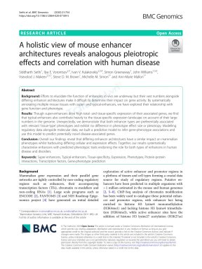 A holistic view of mouse enhancer architectures reveals analogous ...