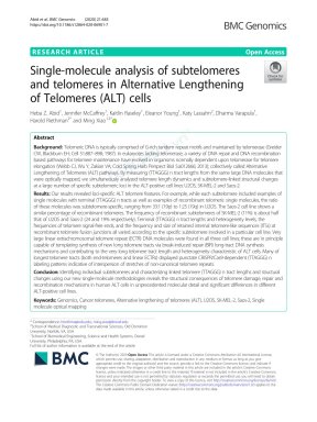 Single molecule analysis of subtelomeres and telomeres in alternative ...