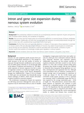 Intron and gene size expansion during nervous system evolution