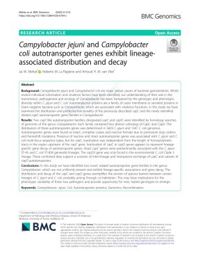 Campylobacter jejuni and campylobacter coli autotransporter genes ...