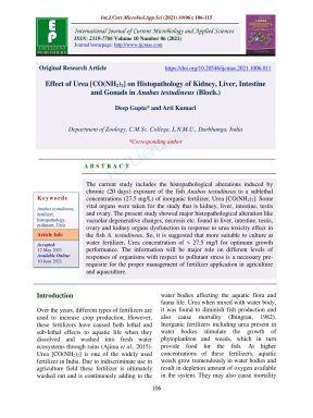 Effect of urea co(nh2)2 on histopathology of kidney, liver, intestine ...