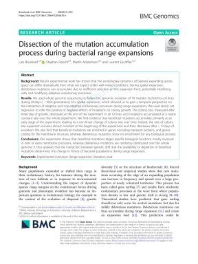 Dissection of the mutation accumulation process during bacterial range ...