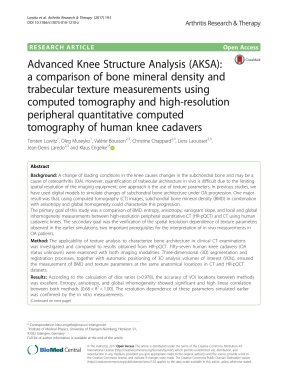 Vanced-Knee-Structure-Analysis-Aksa-A-Comparison-Of-Bone-Mineral ...
