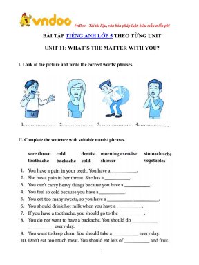 Bai tap tu vung tieng anh lop 5 unit 11 what s the matter with you