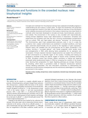 Structures and functions in the crowded nucleus new biophysical insights