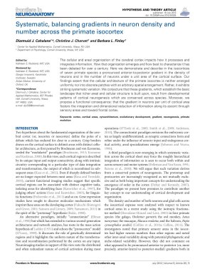 Systematic balancing gradients in neuron density and number across the primate isocortex