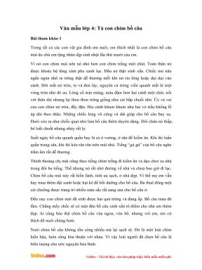 Van mau lop 4 ta con chim bo cau