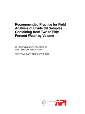 Api rp 87 2007 (american petroleum institute)